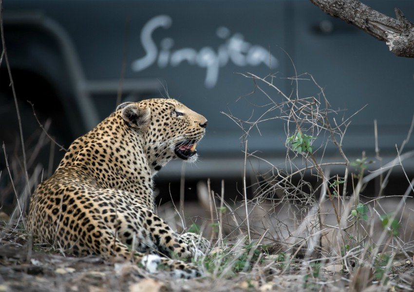 The Best Places To See Leopard In Africa