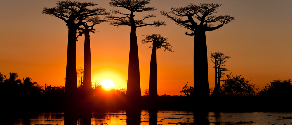 5 Reasons Why You Should Visit Madagascar