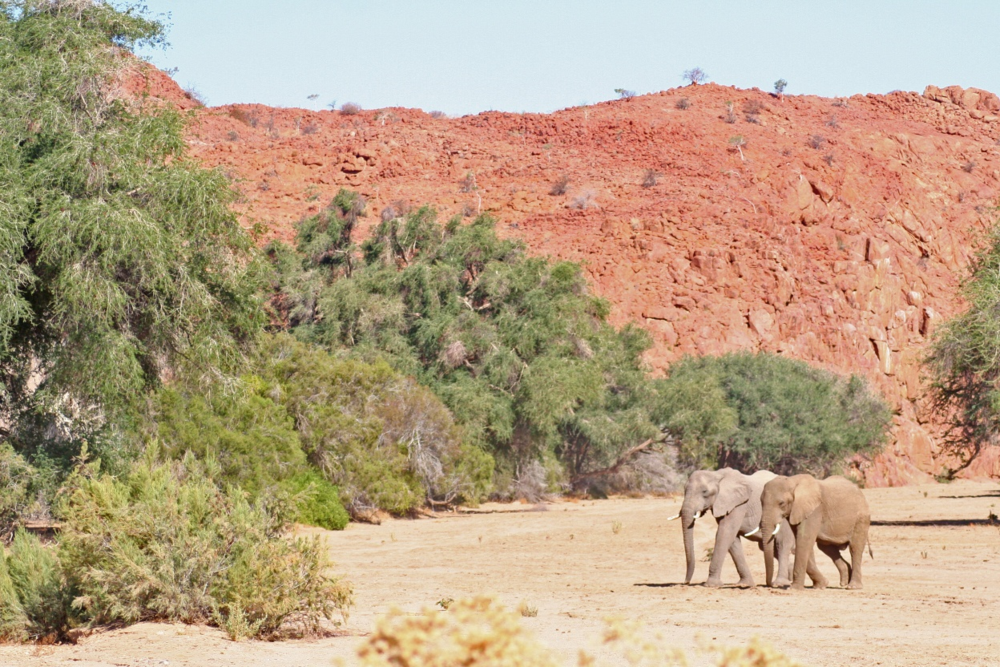 My Namibian Adventure