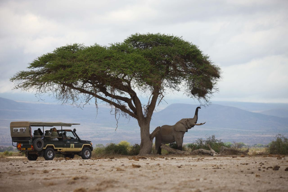 An Incredible Safari & Beach Experience In Kenya