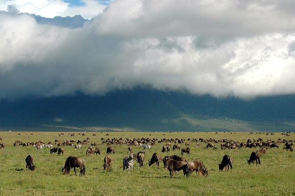 Mapping The Great Migration