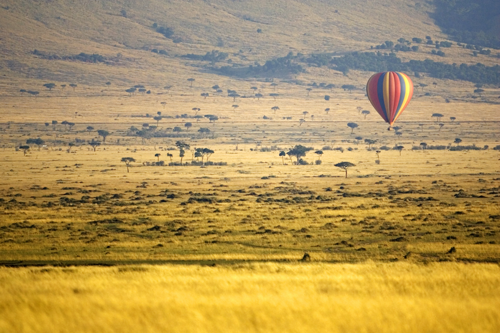 Five Ways To See The Great Migration
