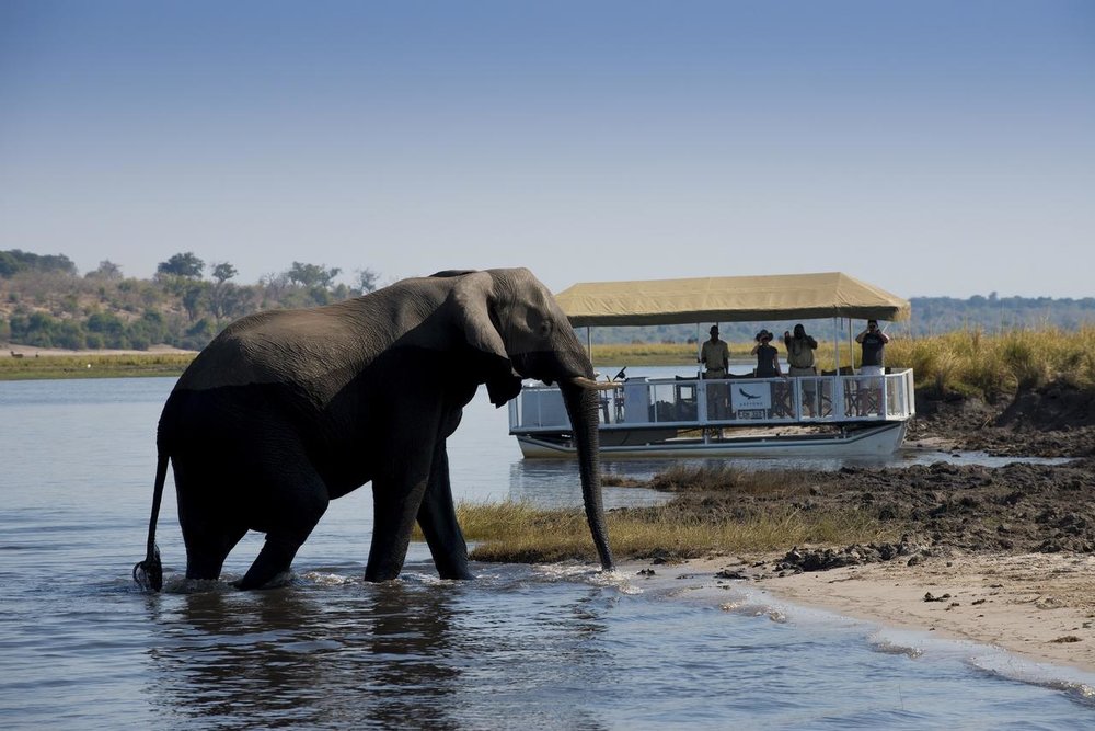 The Best Places To See Elephants In Africa